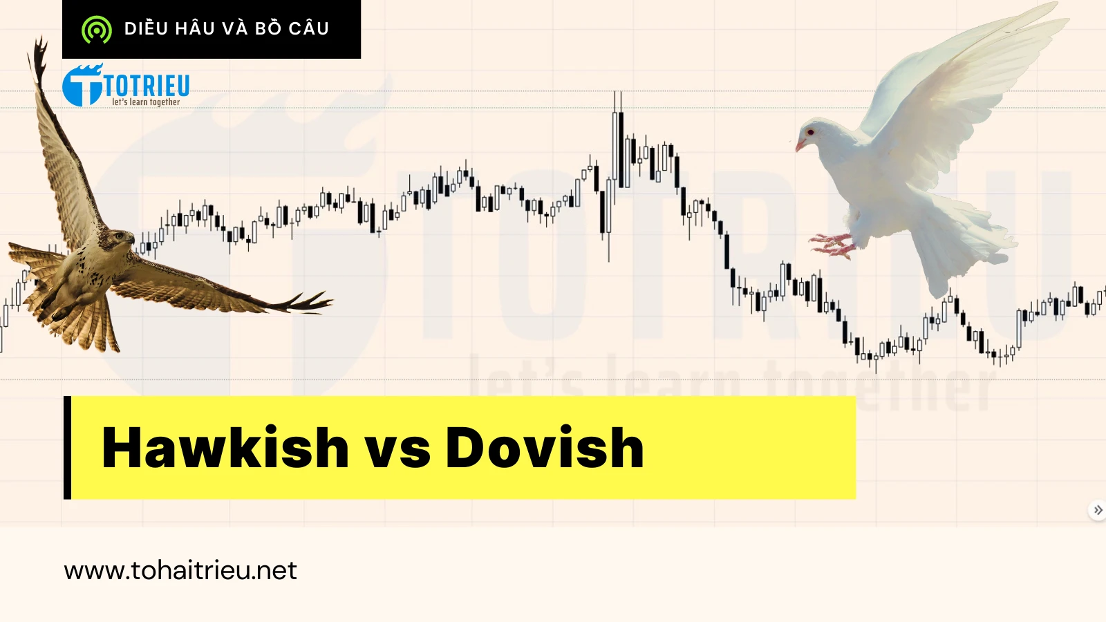 Hawkish vs Dovish: Sự khác biệt giữa các chính sách tiền tệ | Học Đầu ...